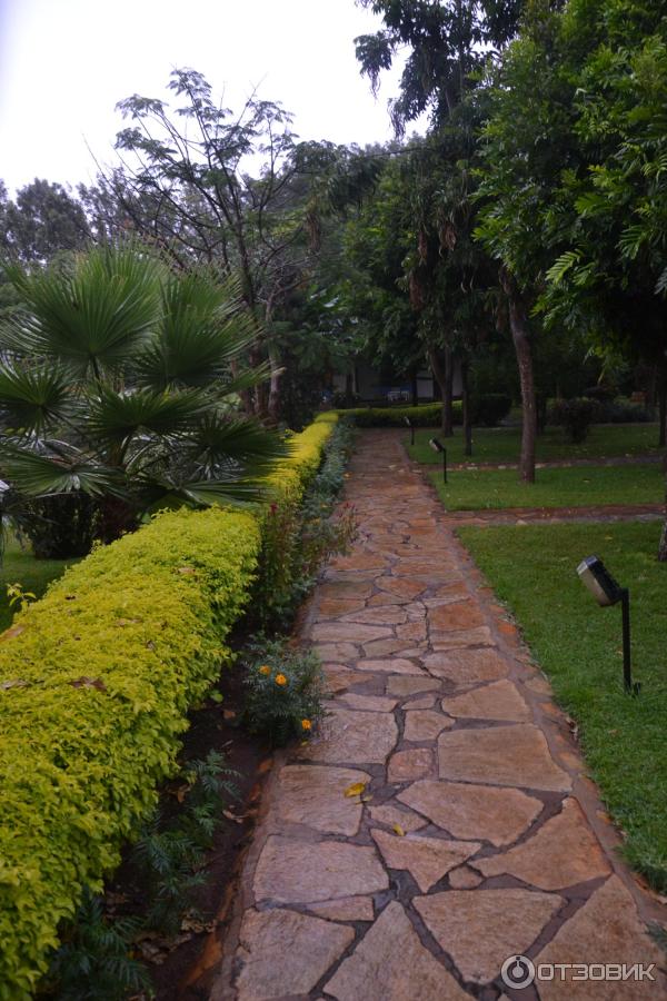 Отзыв о Отель "Country Lodge Karatu" (Танзания, Карату) | Идеальное ...