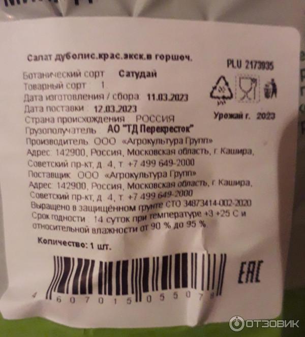 Отзыв о Салат листовой в горшочке Агрокультура Групп "Зеленый стандарт ...