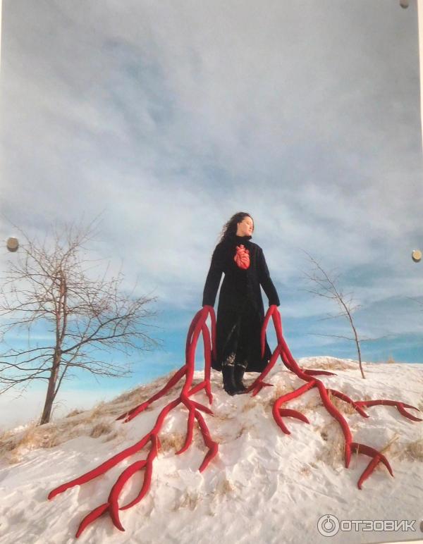 Отзыв о Выставка Алисы Горшениной "Коробка в форме сердца" в ЦСИ ...