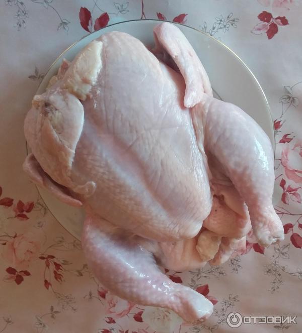 Отзыв о Тушка цыпленка бройлера Мясновъ Отличный цыпленок