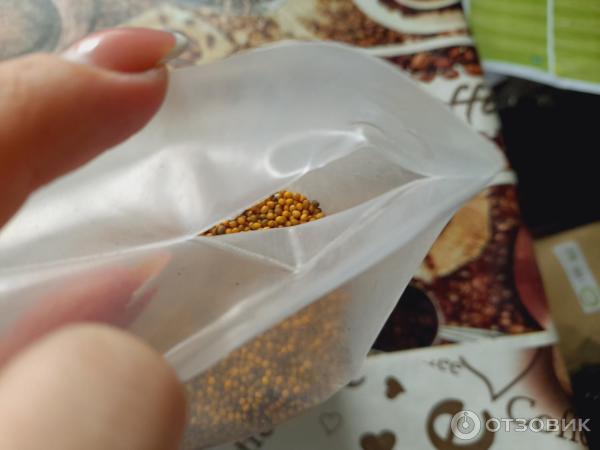 Отзыв о Семена микрозелени СеменаРус Урожай у вас случится ведь не