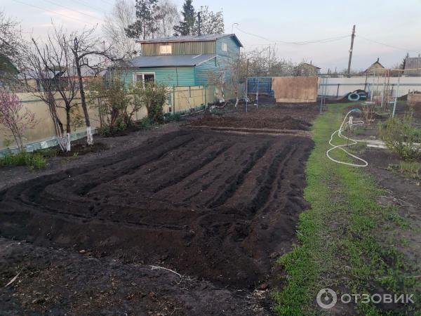 Отзыв о Культиватор бензиновый Brait BR-65A | Я очень доволен!