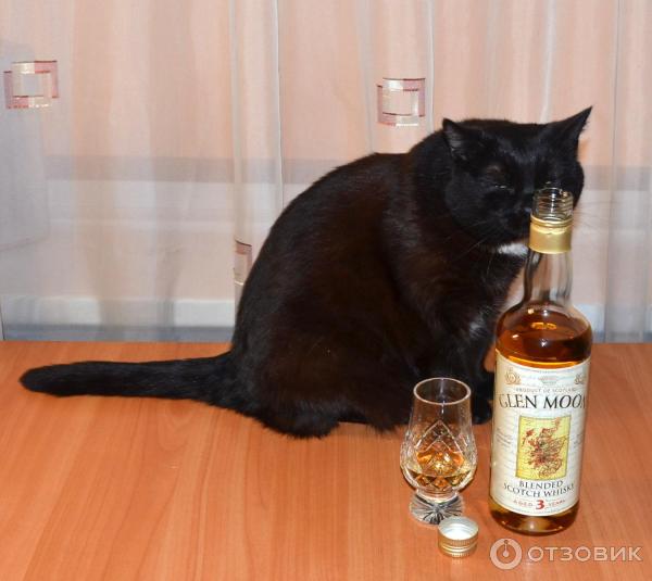 Отзыв о Виски Glen Moon | Приятно удивил!