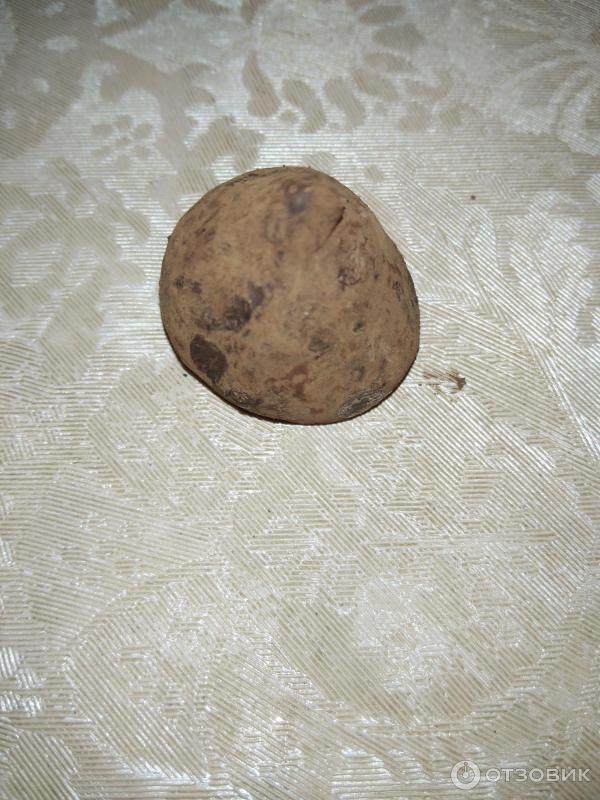 Отзыв о Конфеты The Belgian Chocolate Group "Beyond Time" Truffles ...