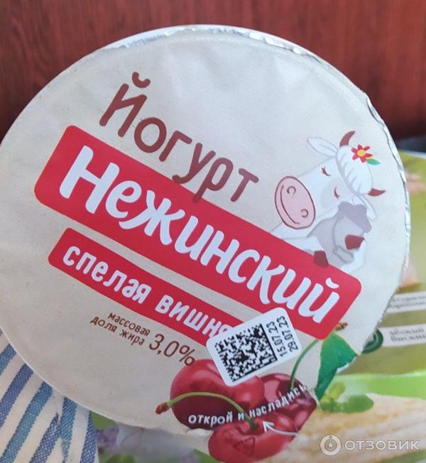 Отзыв о Йогурт Гусевмолоко "Нежинский" | Фабрика Нежинская старается ...
