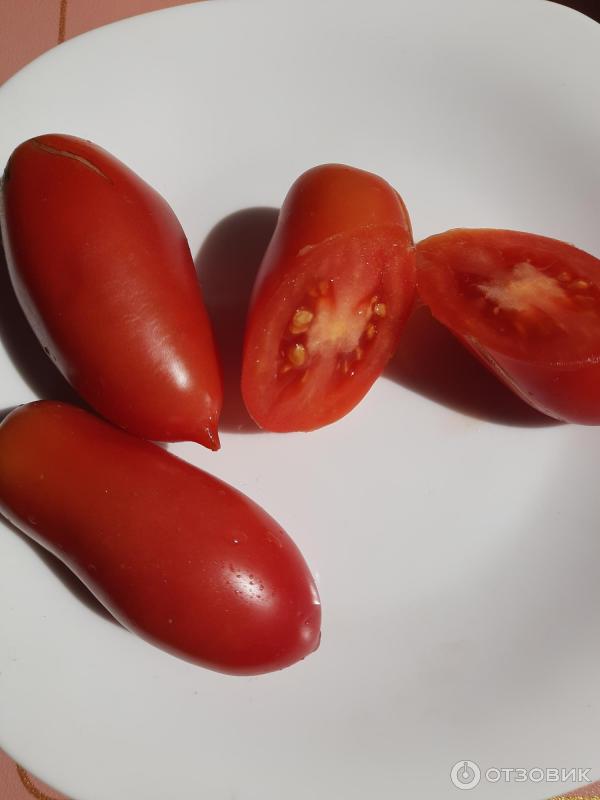 Отзыв о Семена томата Сибирский Сад Итальянские спагетти Вкусные и