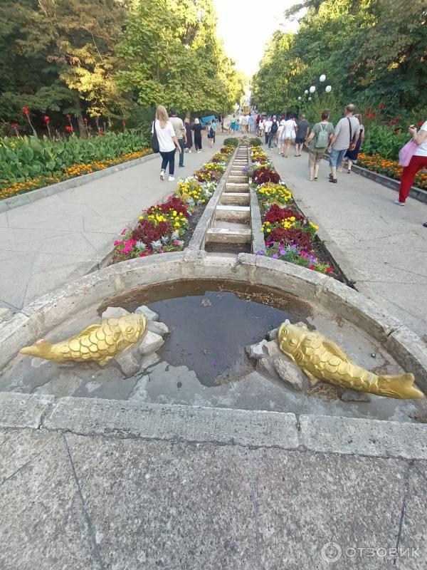 Отзыв о Город Железноводск (Россия, Ставропольский край) | Город-курорт ...