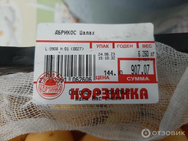 Отзыв о Абрикосы Шалах | Не на дереве растут в Корзинке продают. Вы ...