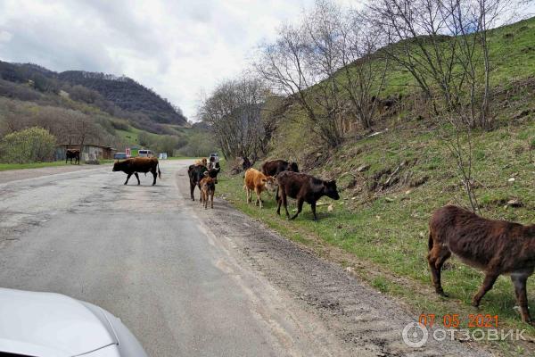 Отзыв о Перевал Гум-Баши (Россия, Карачаево-Черкессия) | Самая ...