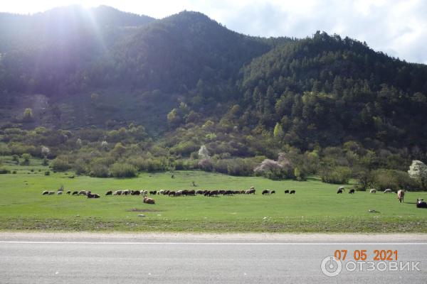 Отзыв о Перевал Гум-Баши (Россия, Карачаево-Черкессия) | Самая ...
