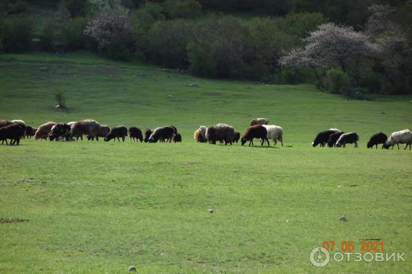 Отзыв о Перевал Гум-Баши (Россия, Карачаево-Черкессия) | Самая ...