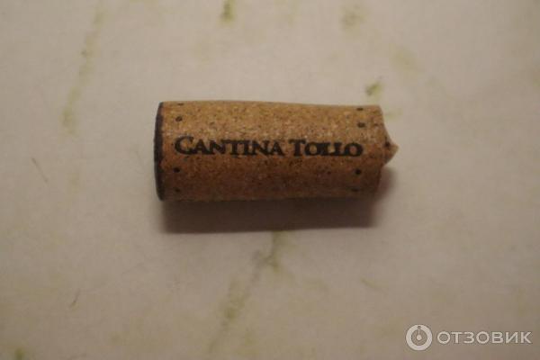 Отзыв о Вино красное сухое Cantina Tollo Mo Montepulciano d'Abruzzo ...