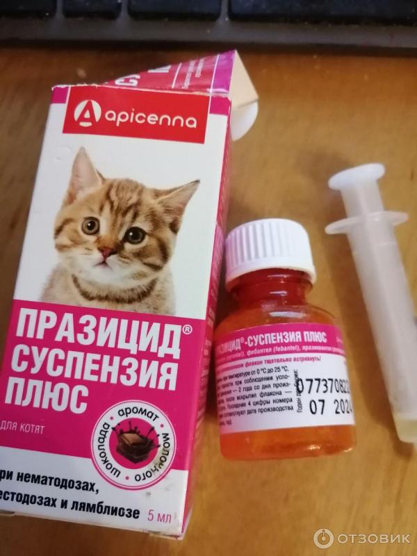 Отзыв о Празицид Api-San суспензия плюс для дегельмитизации котят | Не ...